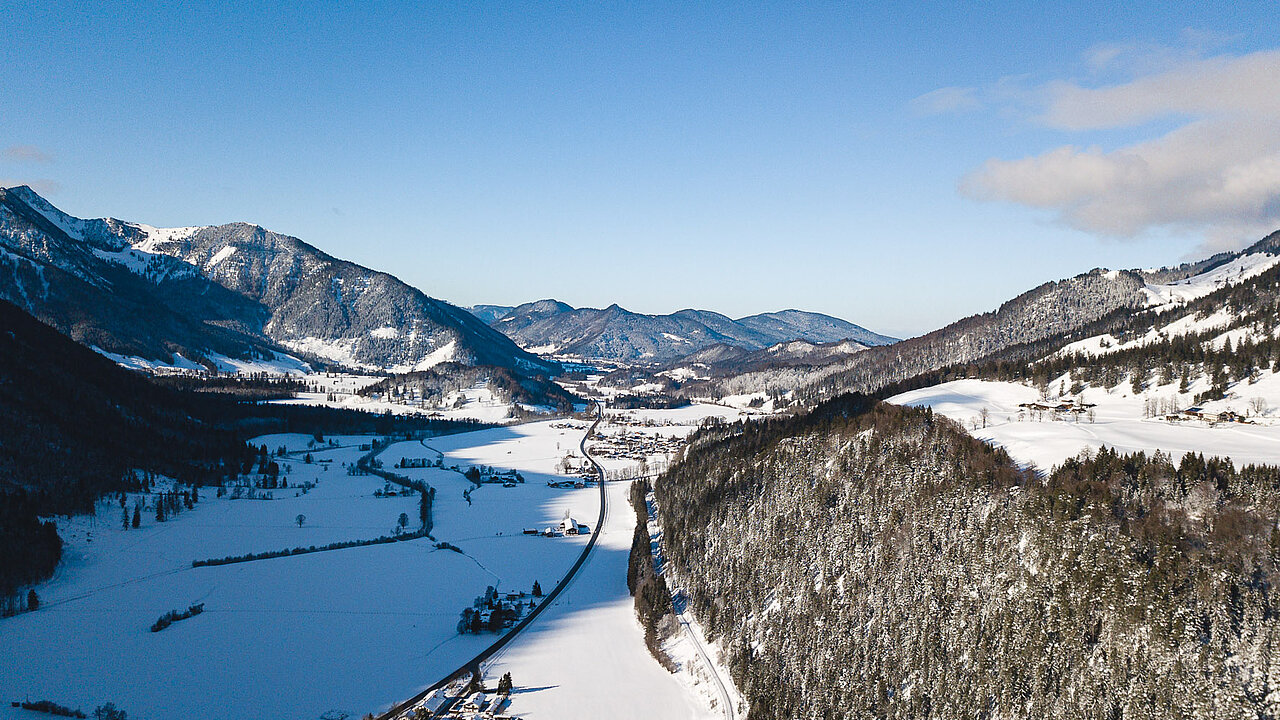 Best price guarantee